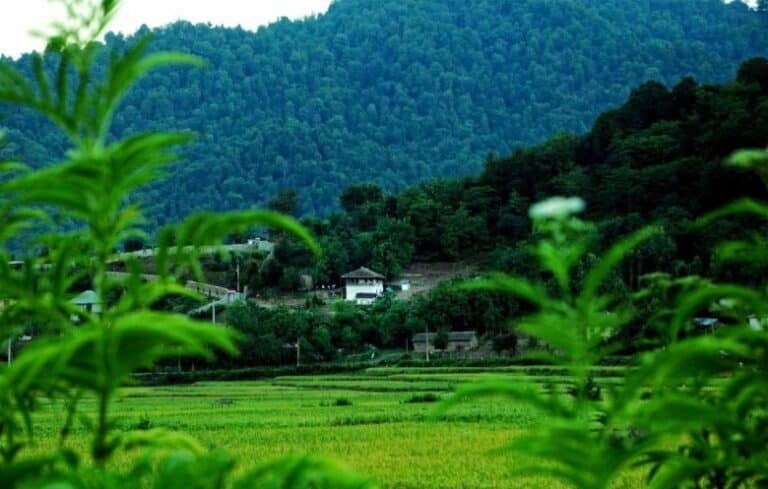 Things To See In Gilan: A Complete Guide