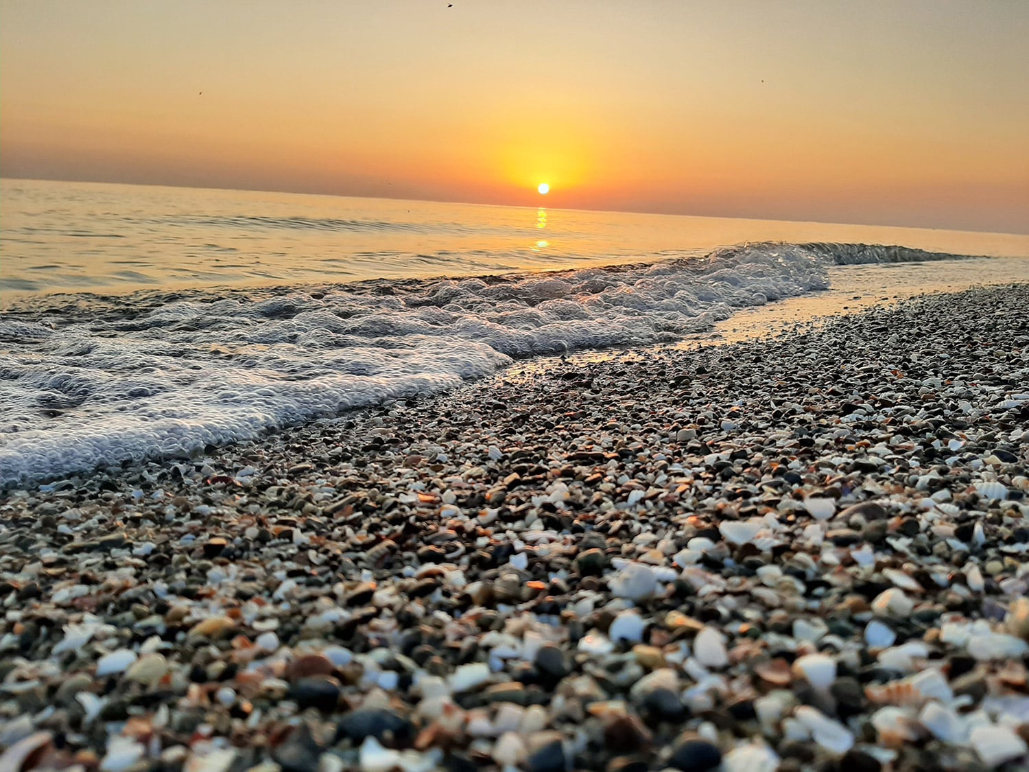 Iran's Caspian Coast: Unwinding In The Serenity Of The North