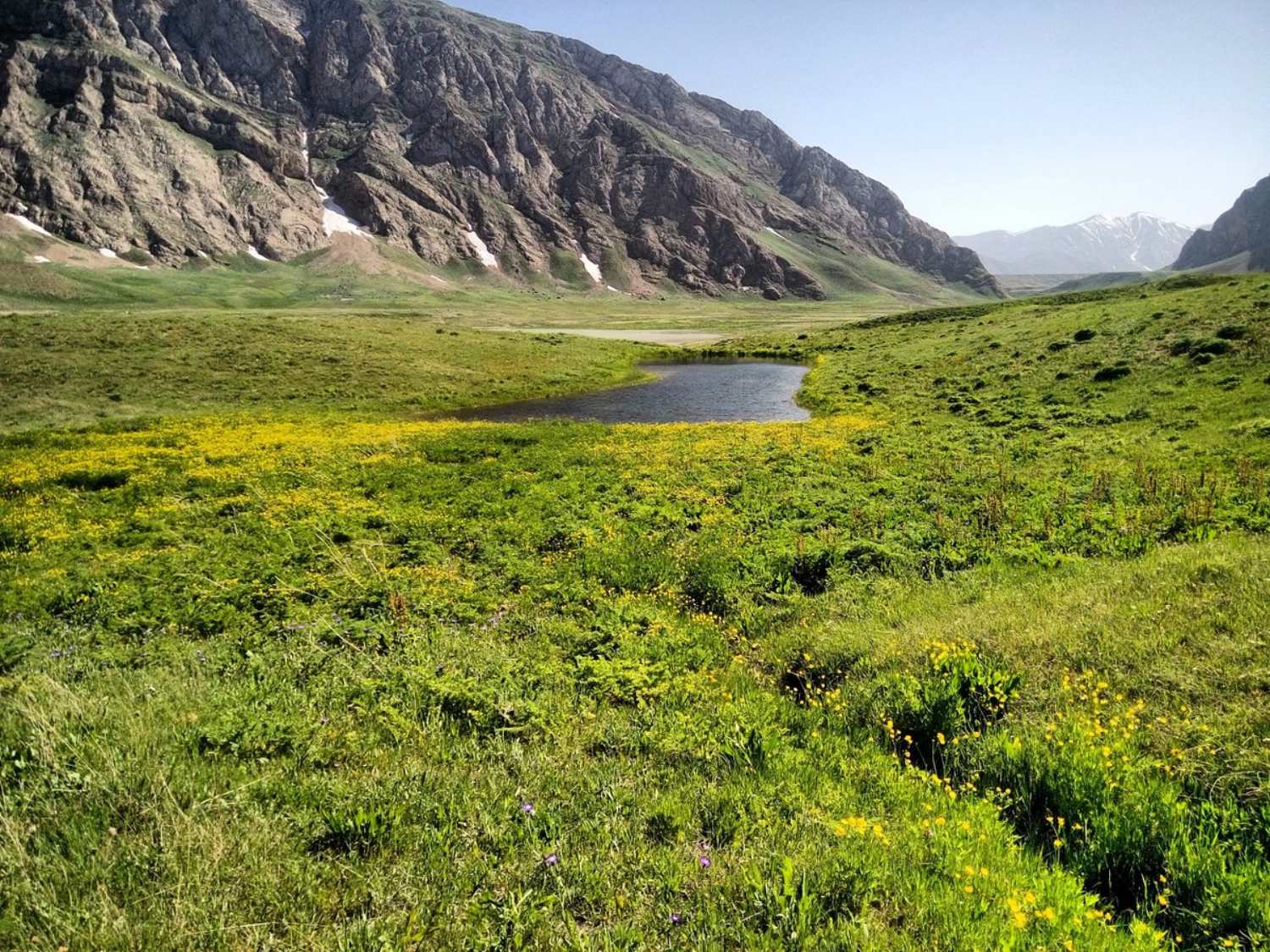 Iranian Wildlife And Nature Reserves: A Haven For Biodiversity