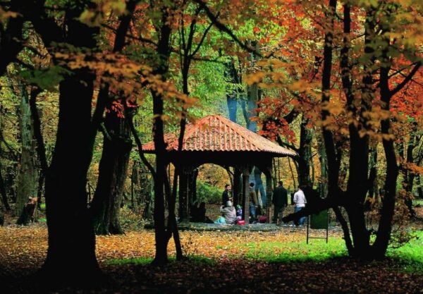 Gorgan Travel Guide: All You Need To Know