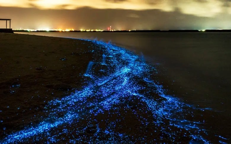 Hidden Gems Of Iran: 10 Off-the-Beaten-Path Destinations