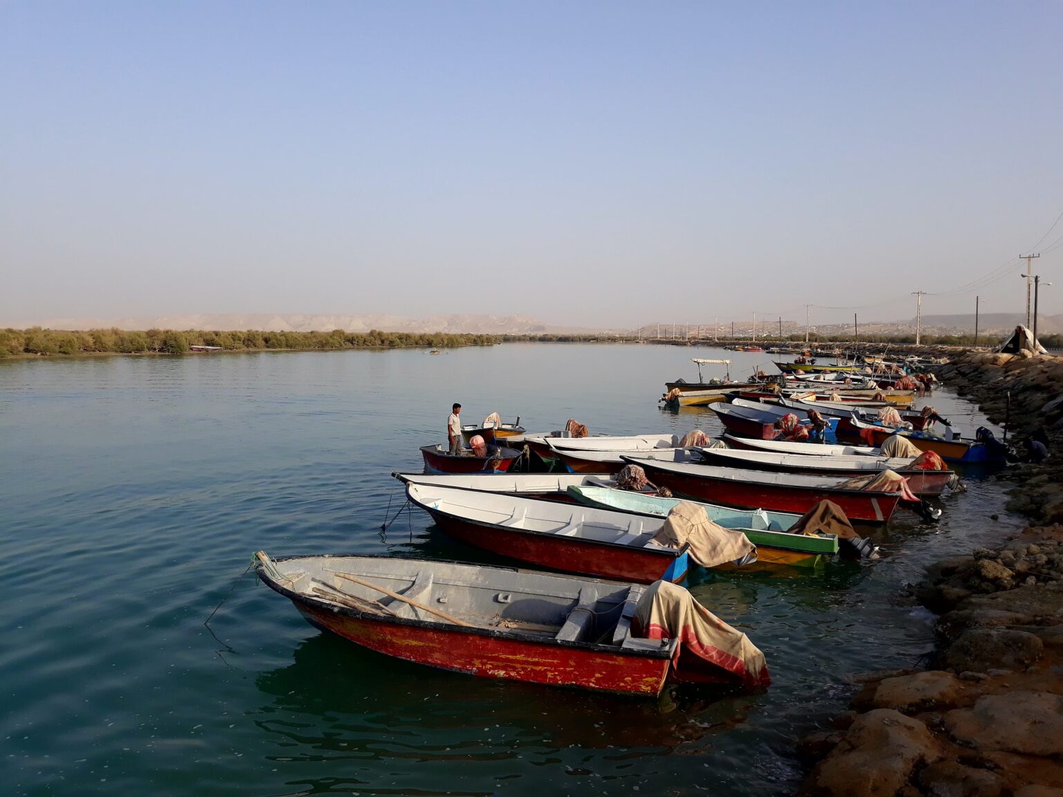 Guide To Qeshm Hara Forest: History, Access, And Wonders