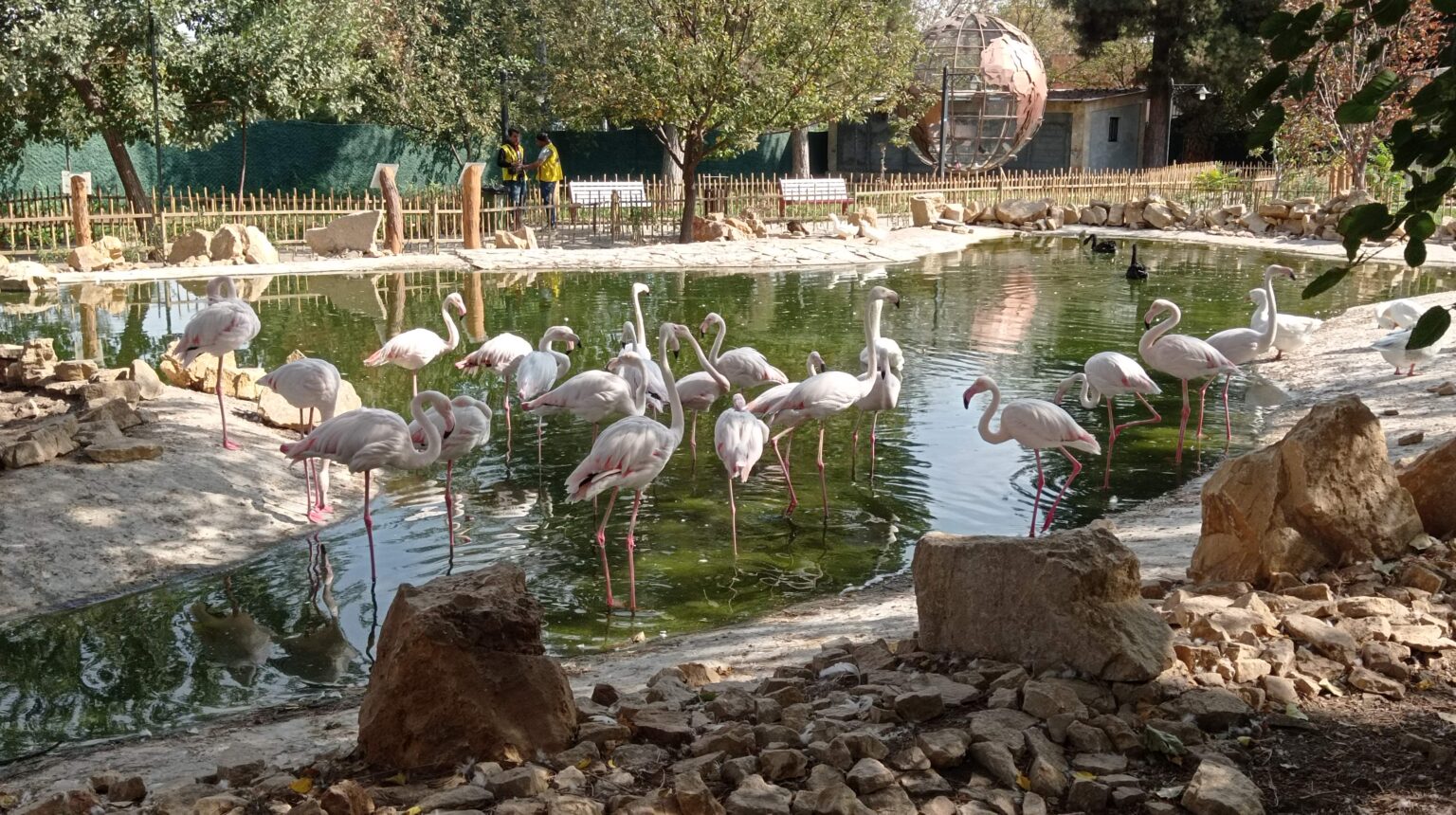 Guide To Mashhad Botanical Garden: Highlights And Access