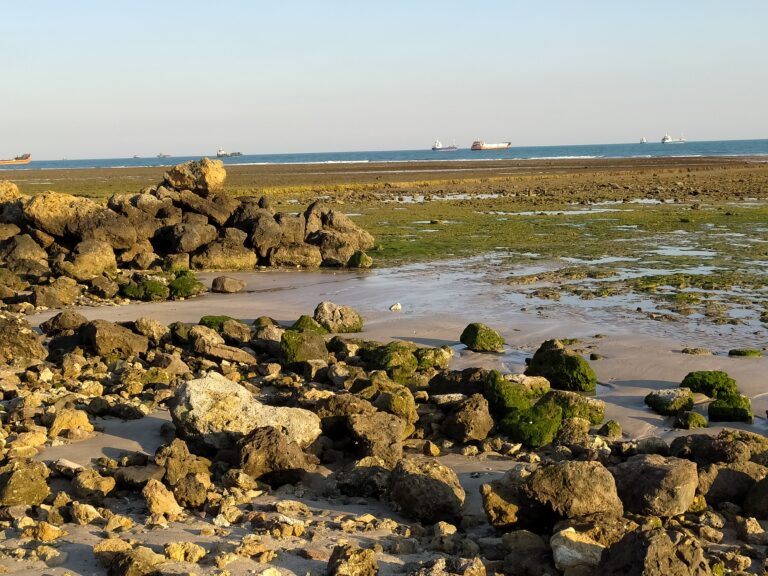 Travel Guide To Bandar Lengeh: The Bride Of Iran’s Ports