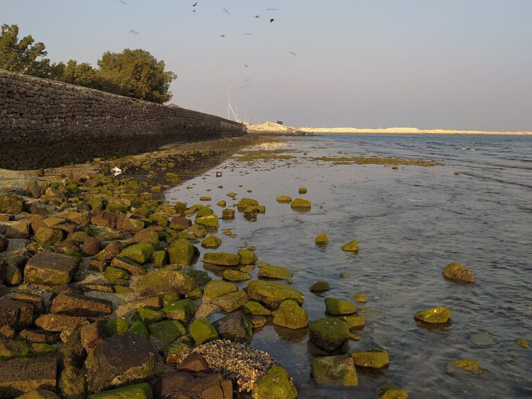 Travel Guide To Bandar Lengeh: The Bride Of Iran’s Ports